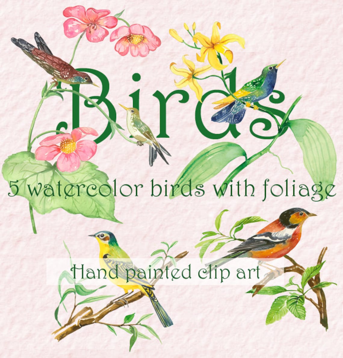 Bird Clip Art Printable Birds Watercolor Bird Illustration - Etsy