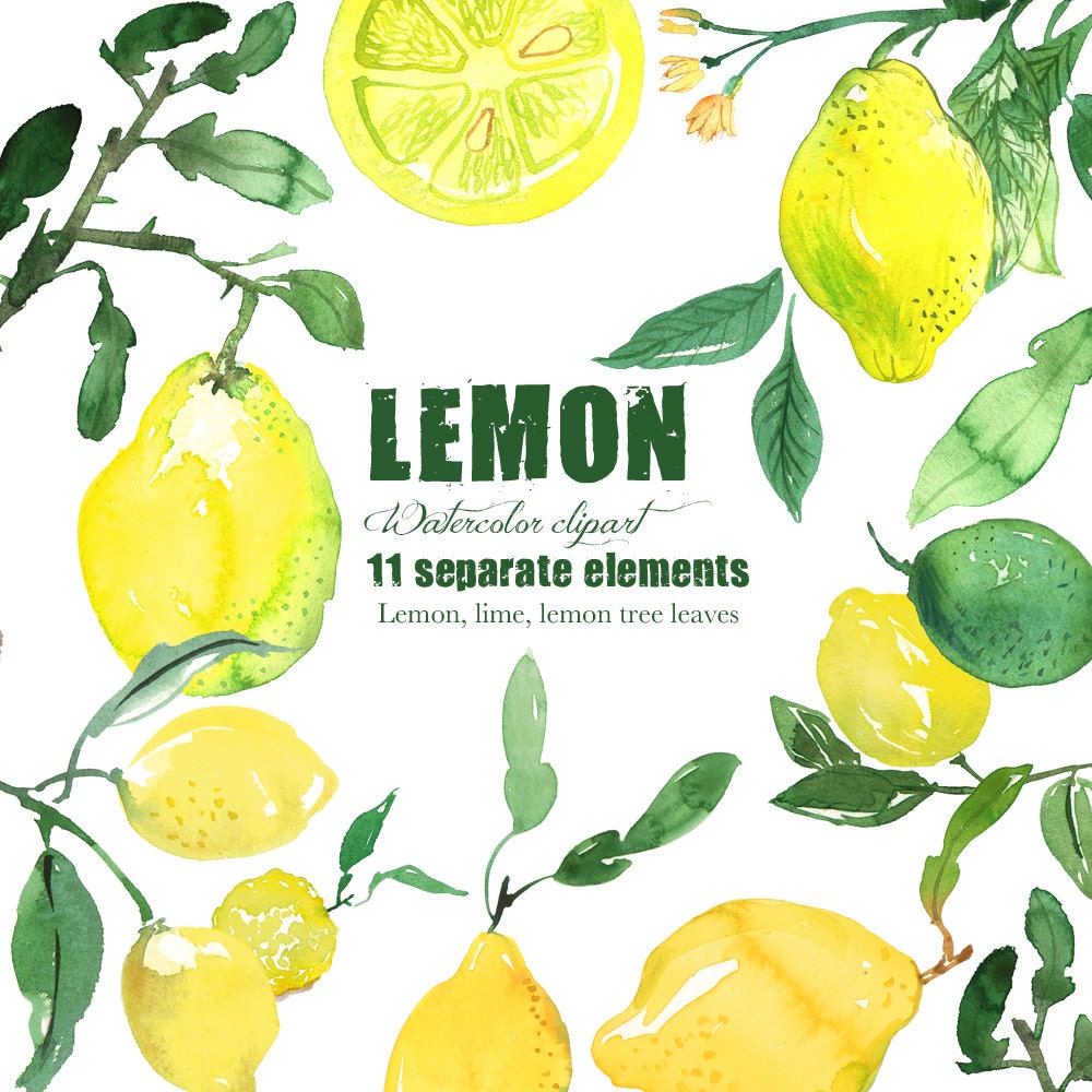 Lemon Clipart Lemon Watercolor Clipart Citrus Clipart - Etsy