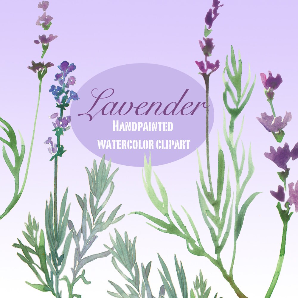 Lavender Clipart, Printable Lavender Flower, Printable Art, Lavender ...