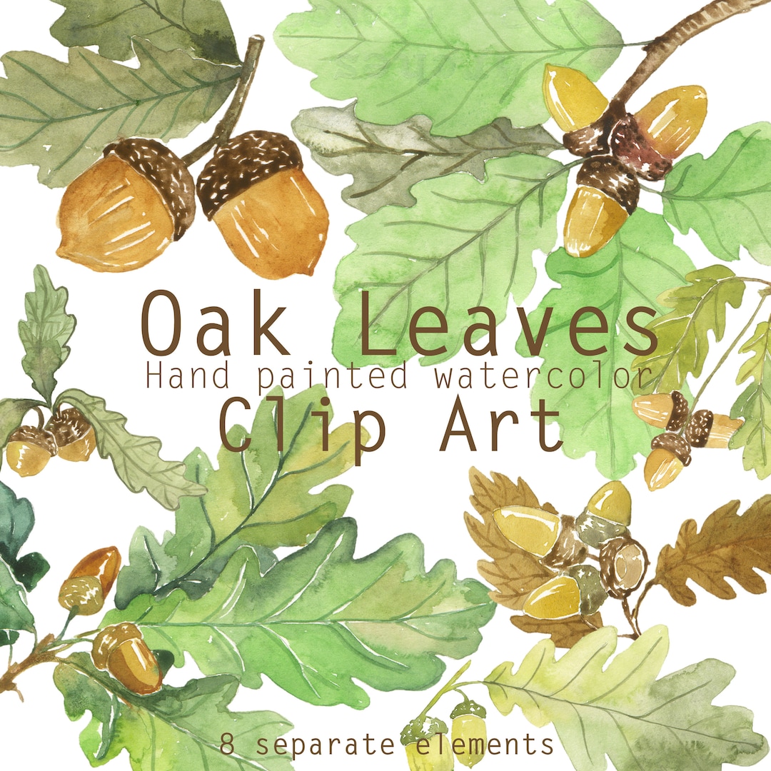 Oak Leaves and Acorns Watercolor Clip Art, Printable Foliage, Forest ...