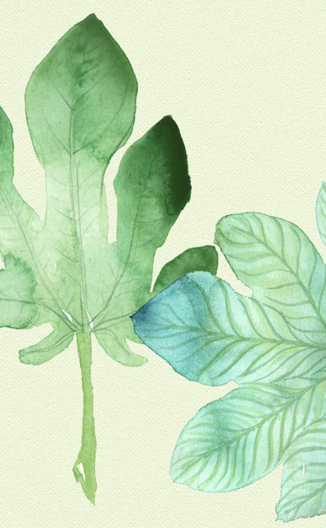 Watercolor Fig Tree Clipart: Botanical Green Leaves (digital Download ...