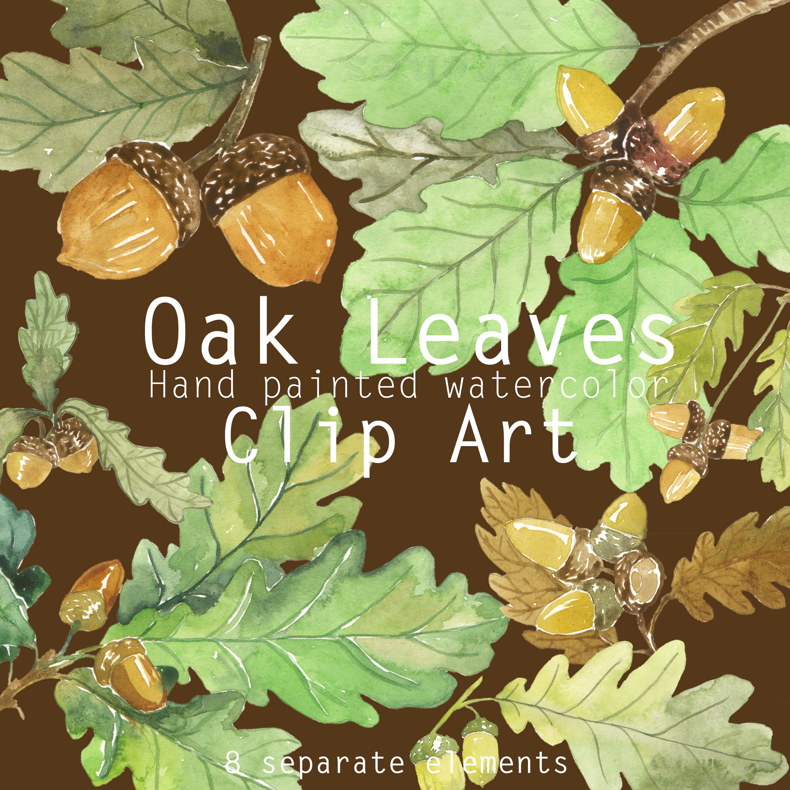 Oak Leaves and Acorns Watercolor Clip Art, Printable Foliage, Forest ...