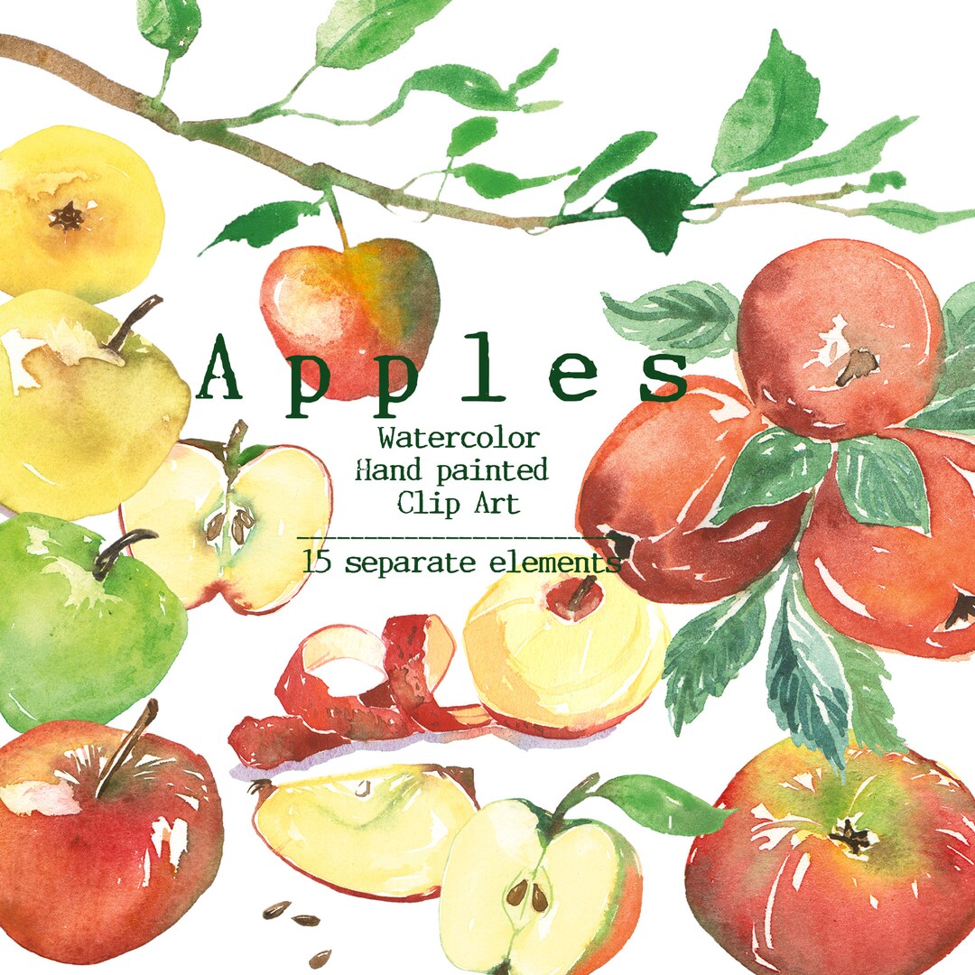 Watercolor Apple Clipart: Apple Branch Illustration (digital Download ...