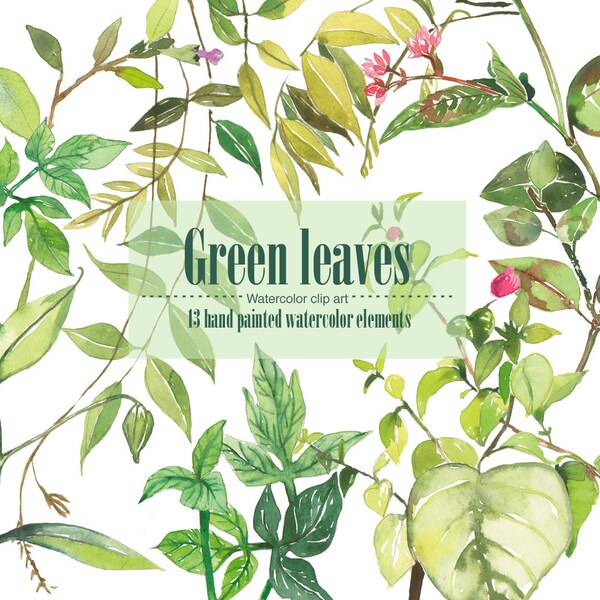 Botanical Clip Art - Etsy