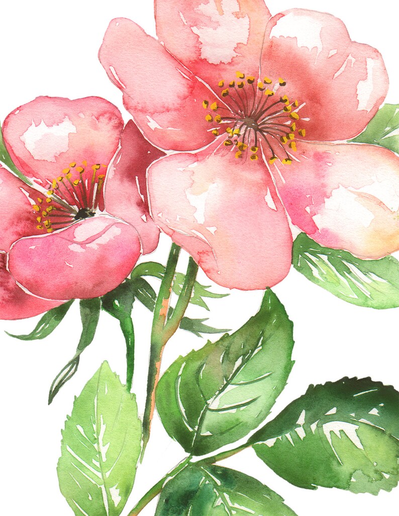 Watercolor Flower Clip Art, 4 Bouquets, Floral Watercolor Clip Art ...