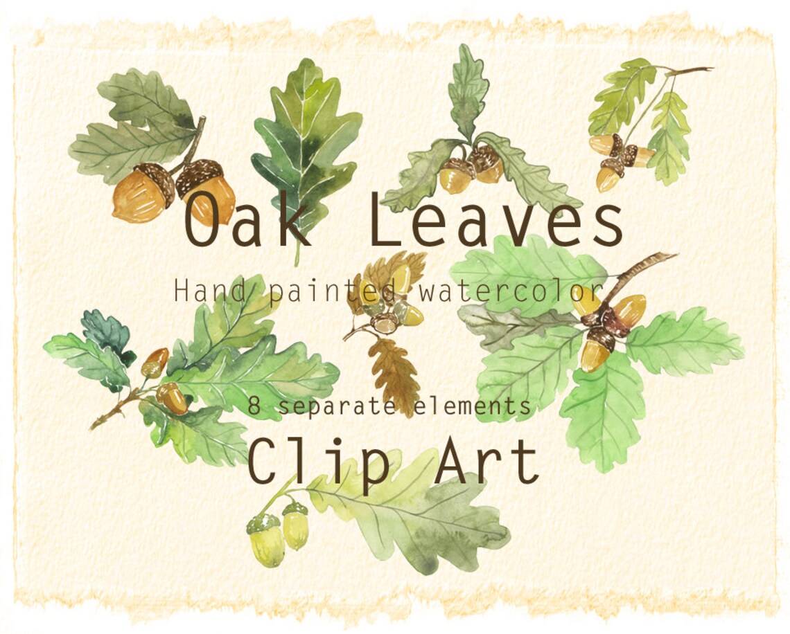 Oak Leaves and Acorns Watercolor Clip Art, Printable Foliage, Forest ...