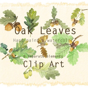 Oak Leaves and Acorns Watercolor Clip Art, Printable Foliage, Forest ...
