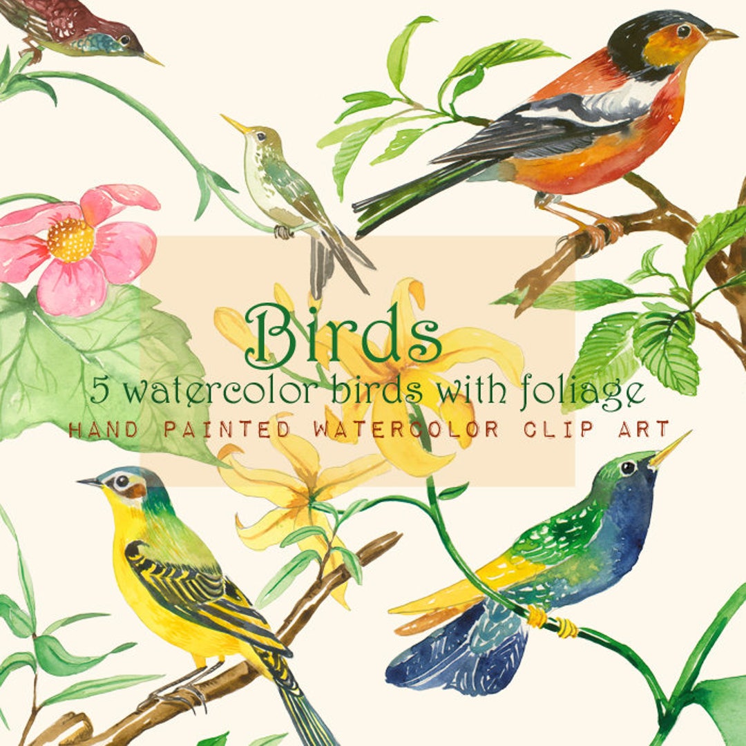 Bird Clip Art Printable Birds Watercolor Bird Illustration - Etsy