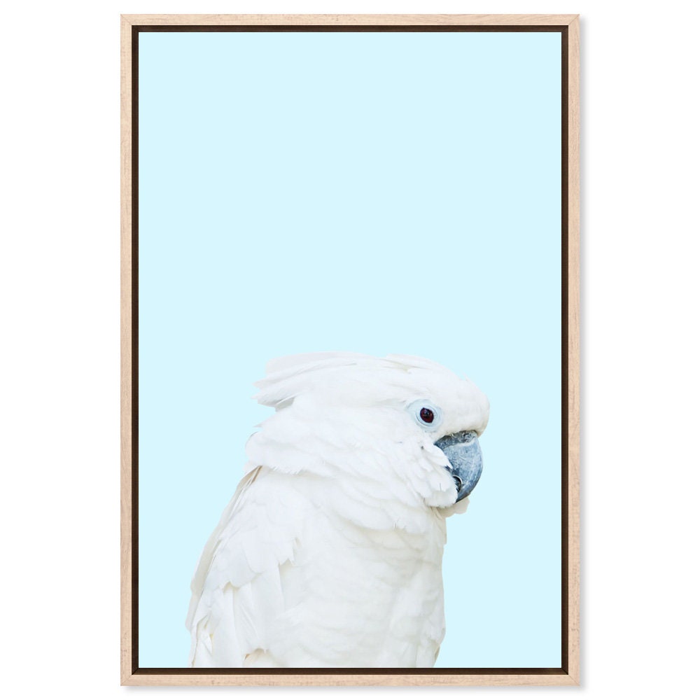 Cockatoo on Blue Canvas Art Print Paper Print Bird Print - Etsy