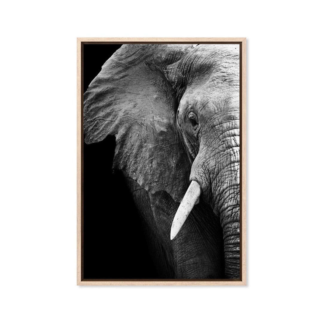 Elephant Wisdom Canvas Art Print Paper Print Poster Animal - Etsy