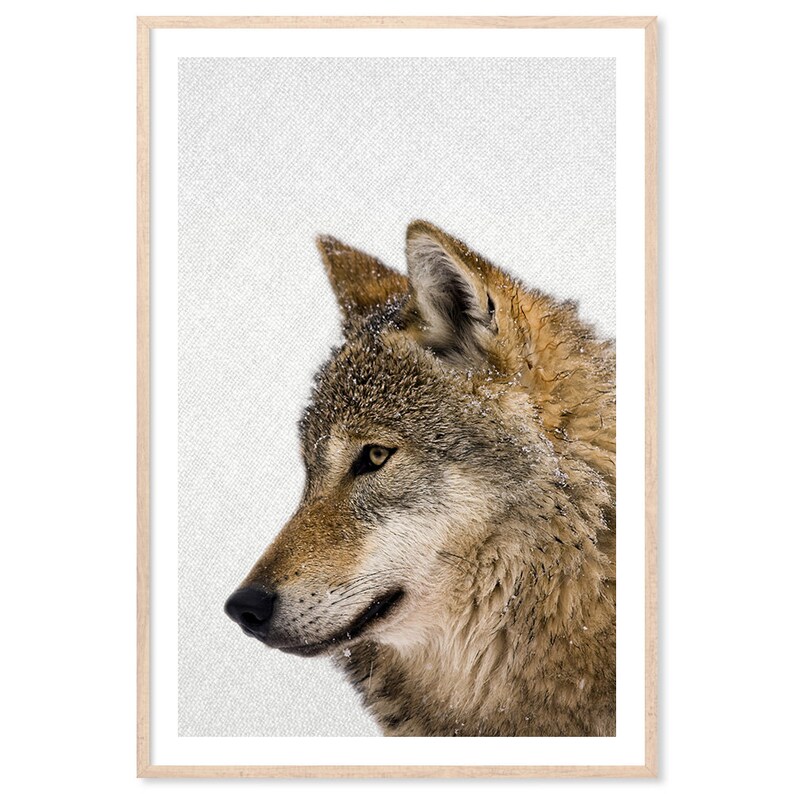 Grey Wolf Canvas Art Print Paper Print Animal Wall Decor - Etsy