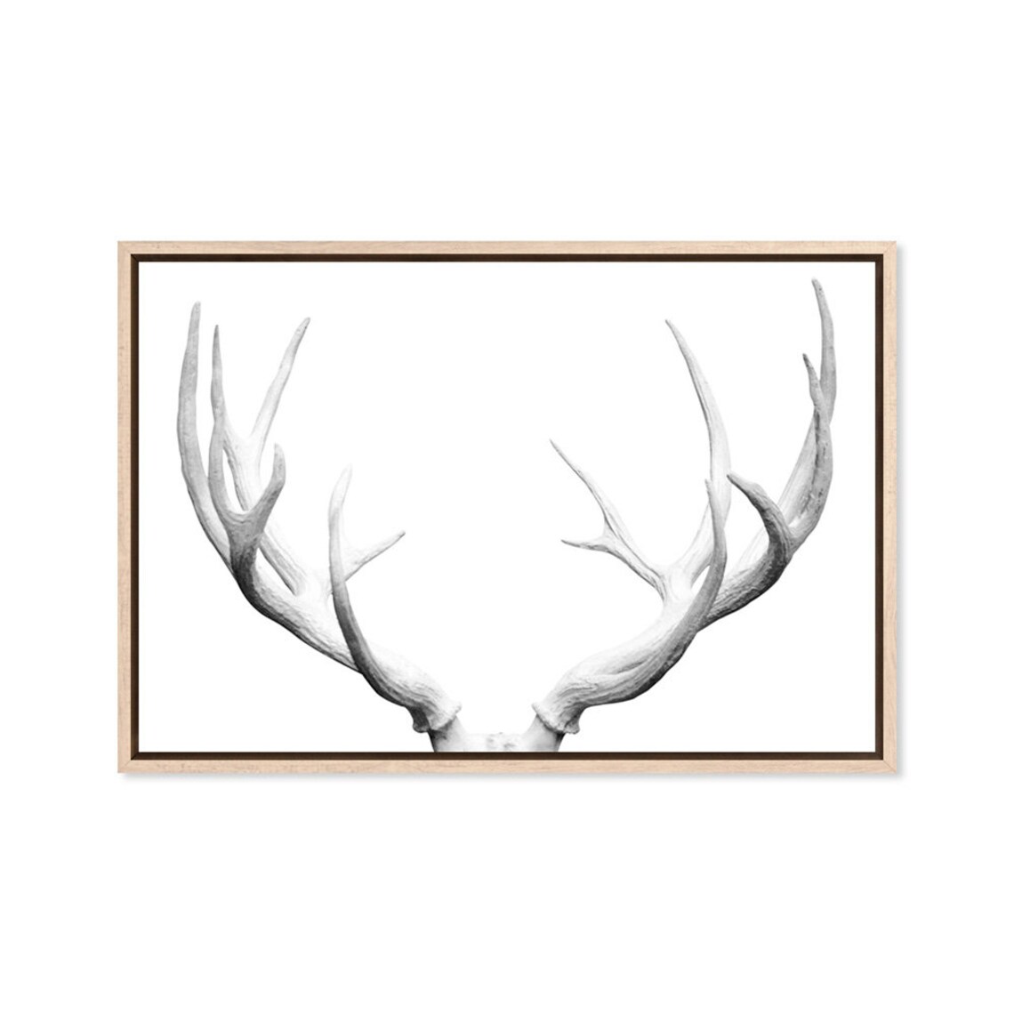 Deer Antlers Canvas Art Print Paper Print Monochrome Art - Etsy