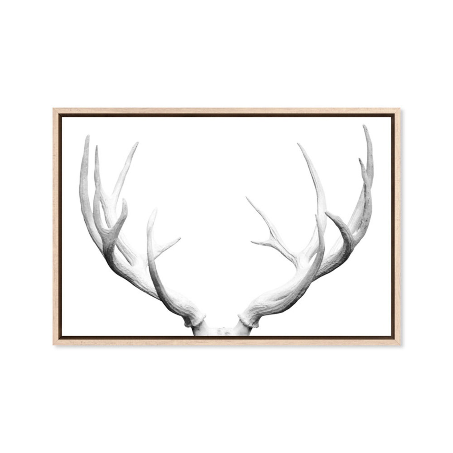 Deer Antlers Canvas Art Print Paper Print Monochrome Art | Etsy