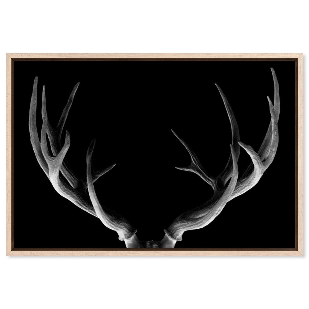 Deer Antlers Midnight, Canvas Art Print, Paper Print, Monochrome Art ...