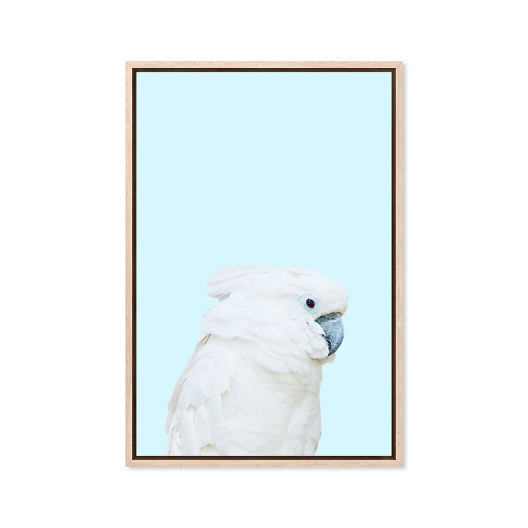 Cockatoo on Blue, Canvas Art Print, Paper Print, Bird Print, Large ...