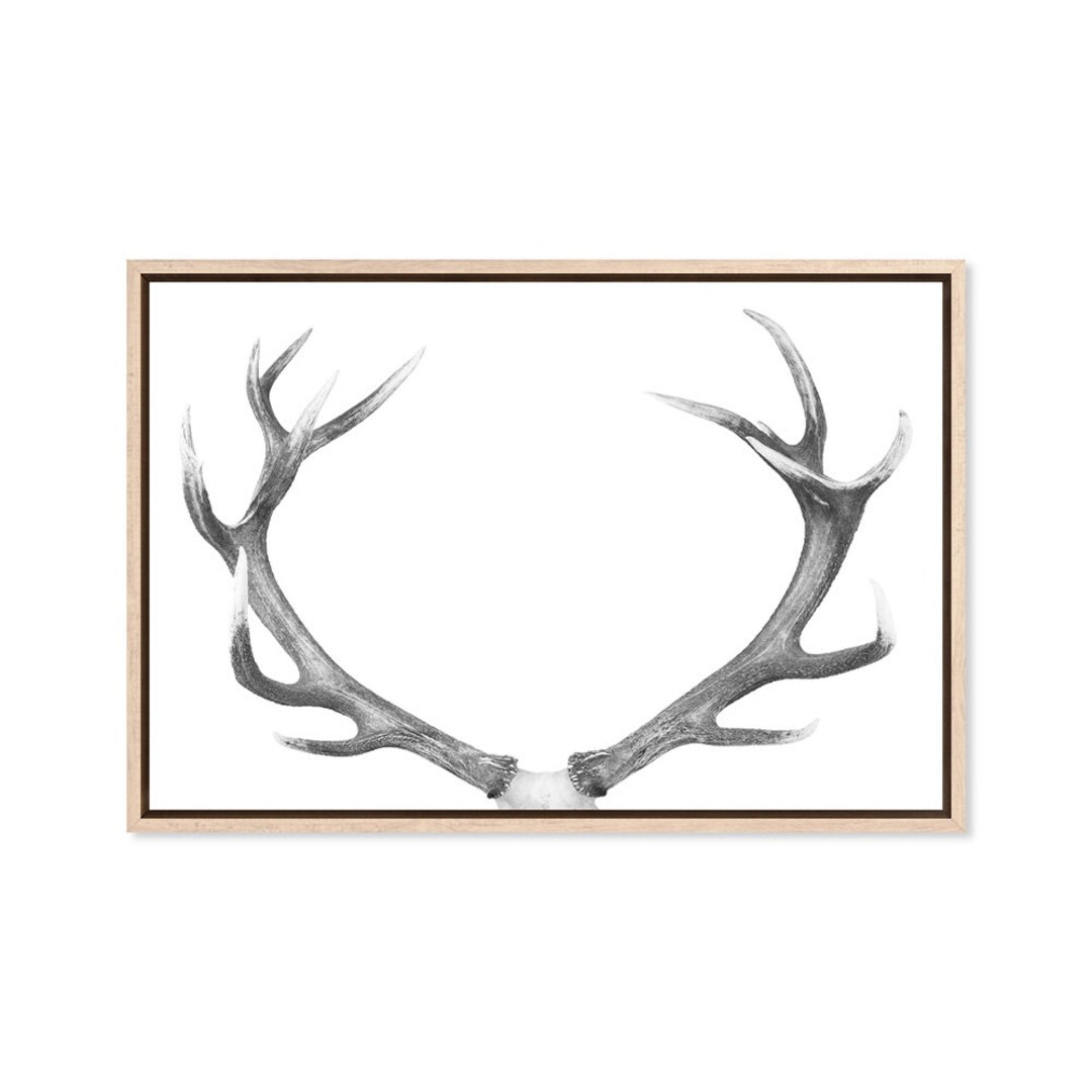 Deer Antlers Majestic, Canvas Art Print, Paper Print, Monochrome Art ...