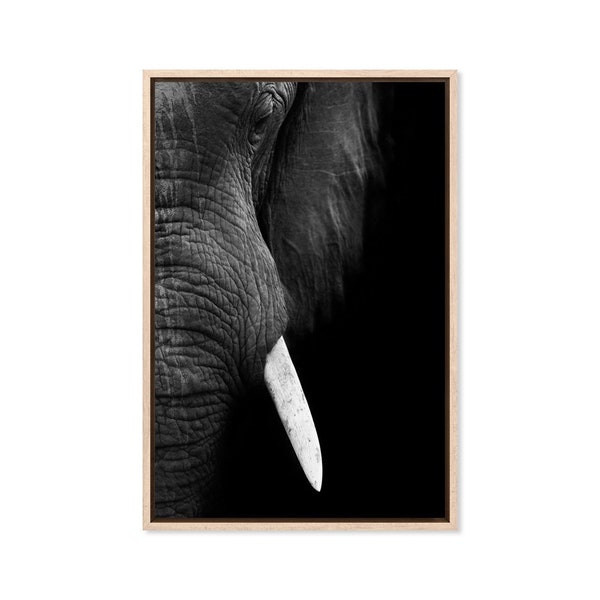 Elephant Tusk Art - Etsy
