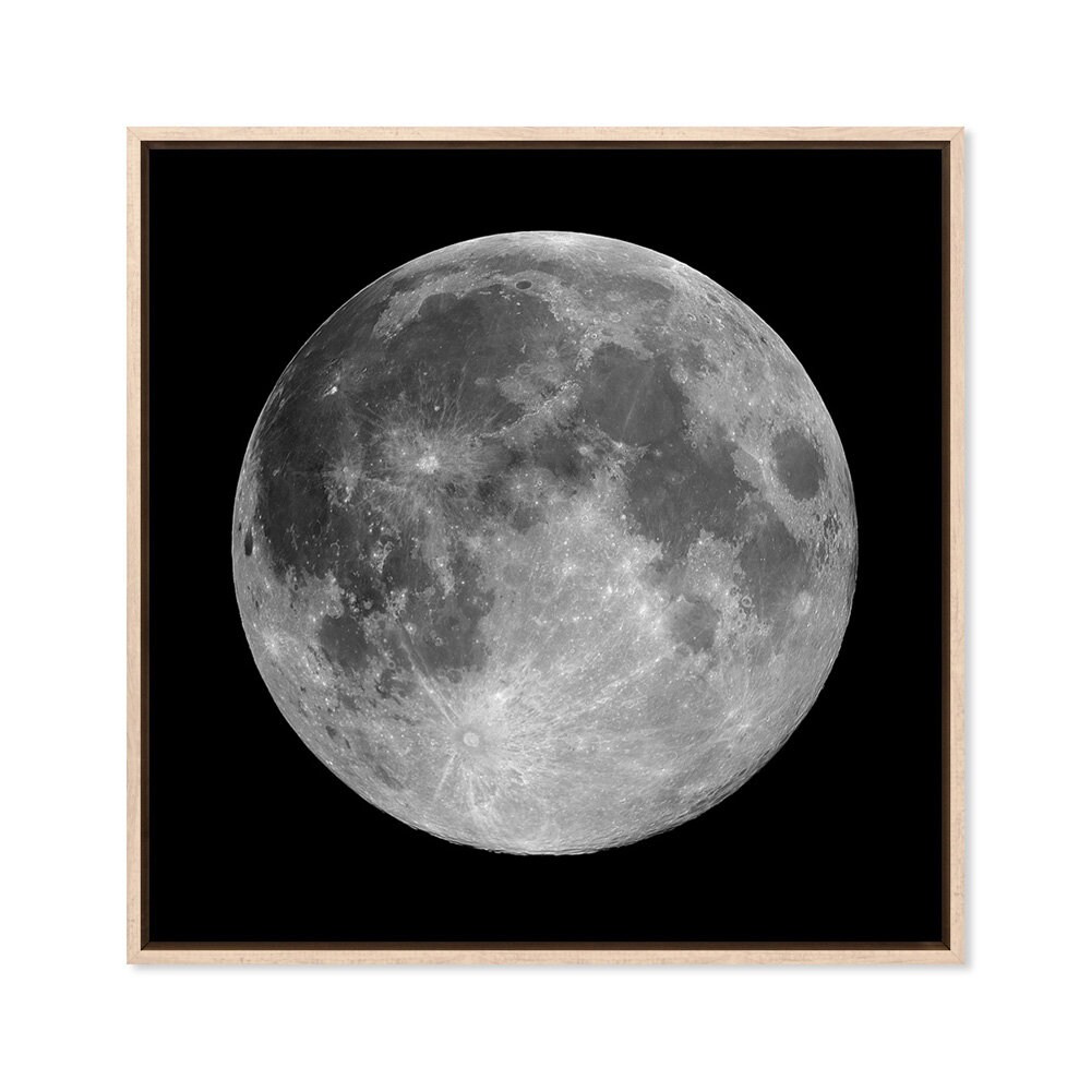 Full Moon Canvas Art Print Paper Print Monochrome Wall Art | Etsy