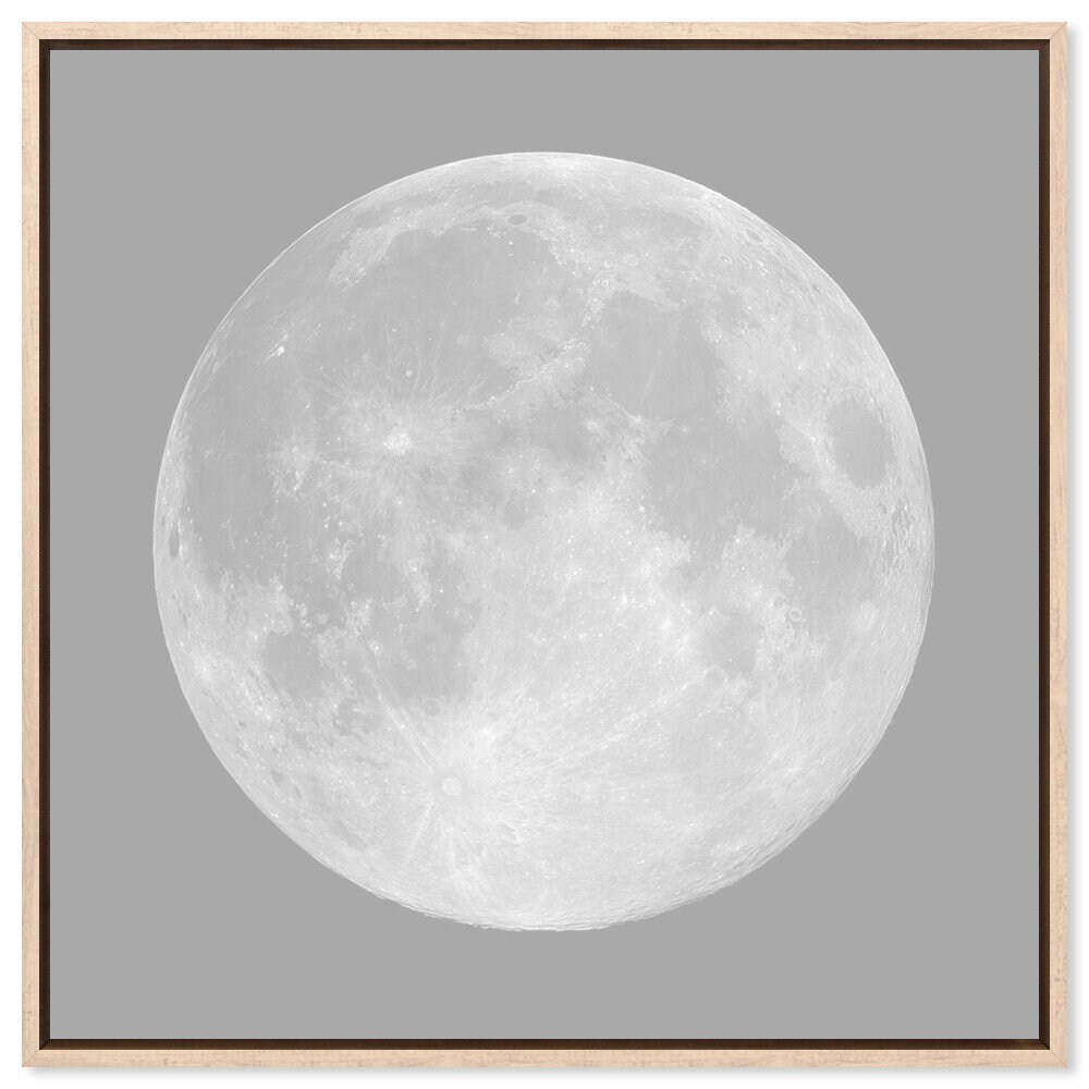 Ghost Moon Canvas Art Print Paper Print Monochrome Wall - Etsy.de