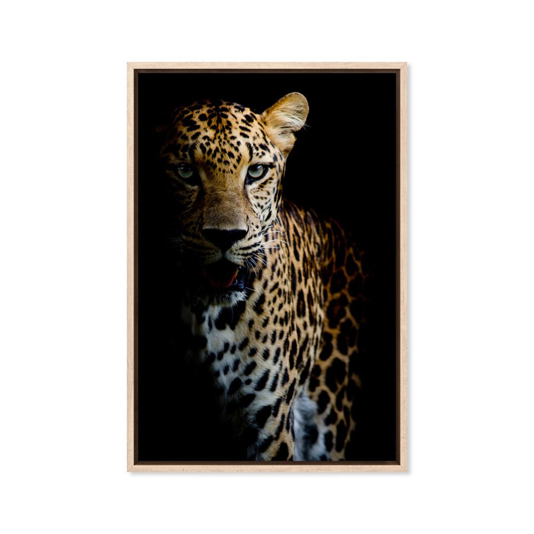 Leopard, Canvas Art Print, Paper Print, Animal Art, Photographic Wall ...