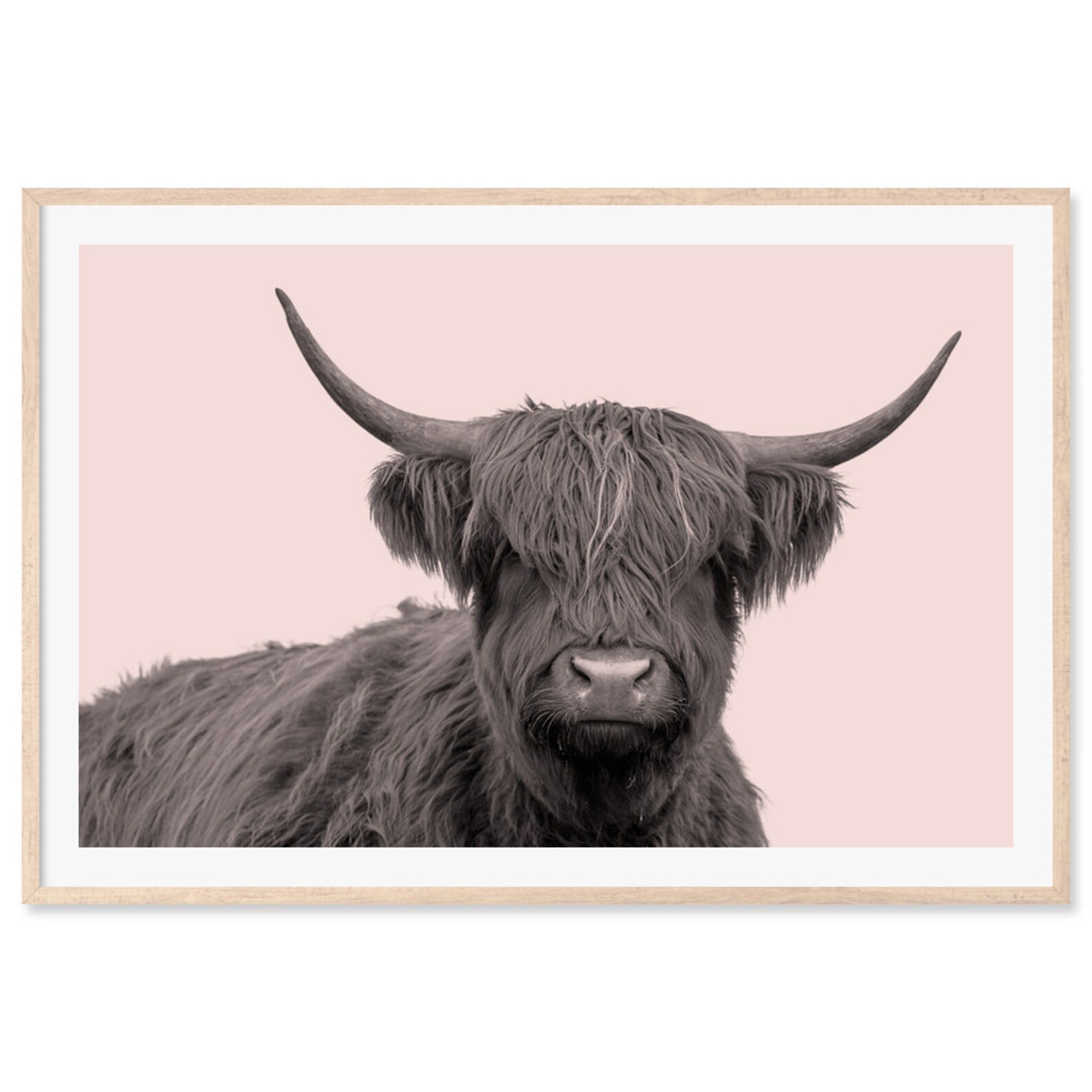 Highland Cow Grayscale on Pink Canvas Art Print Paper Print - Etsy