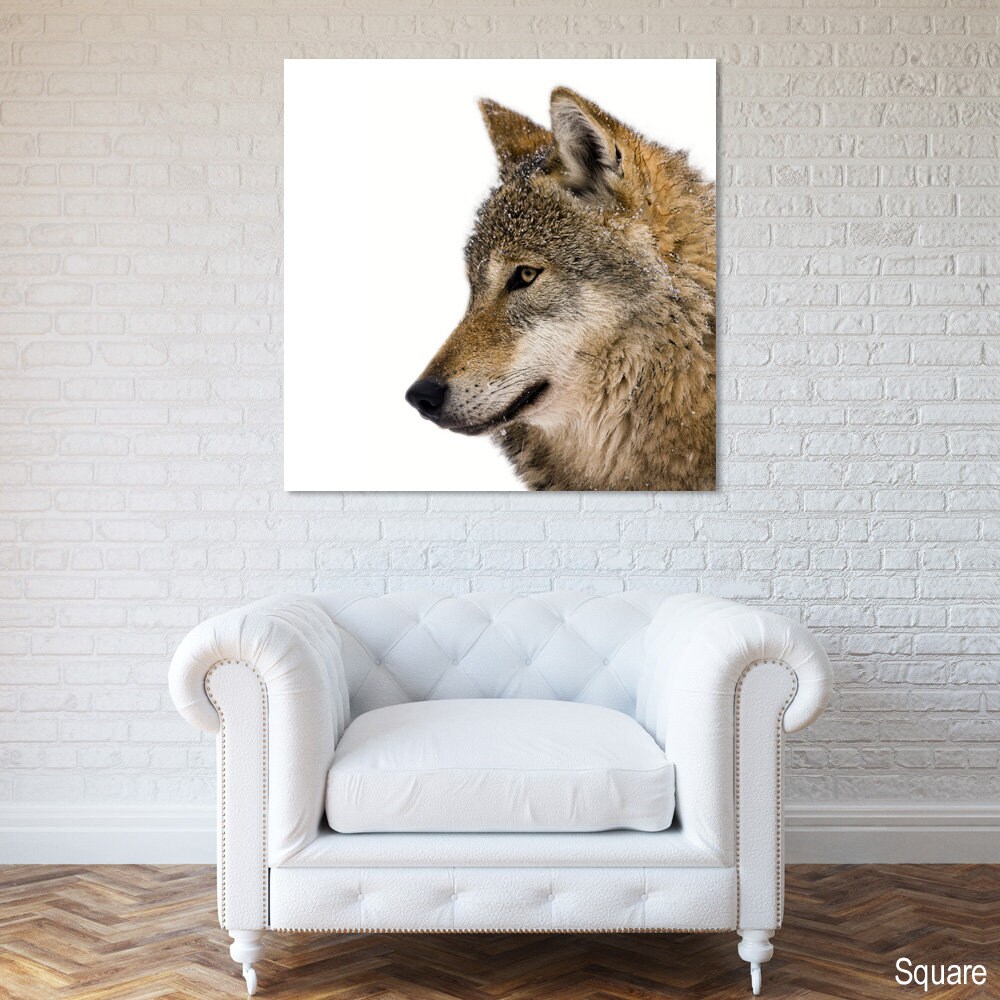 Grey Wolf Canvas Art Print Paper Print European Gray Wolf - Etsy.de