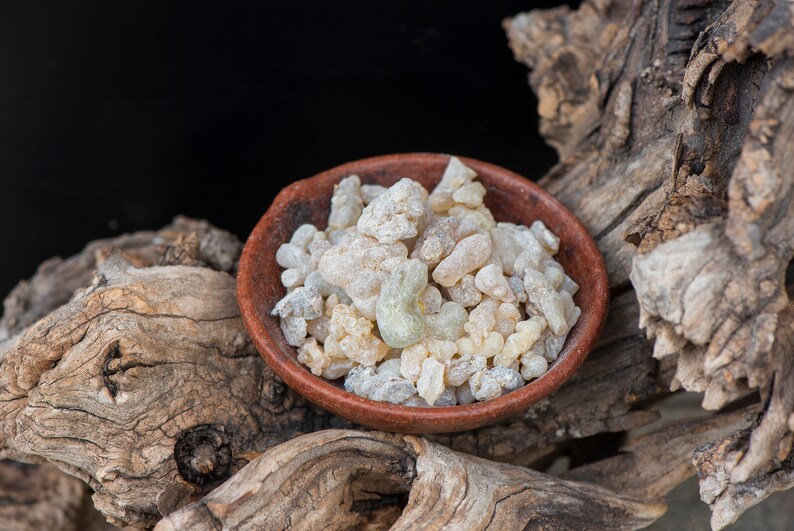 Frankincense from India Boswellia serrata 50 gr | Etsy
