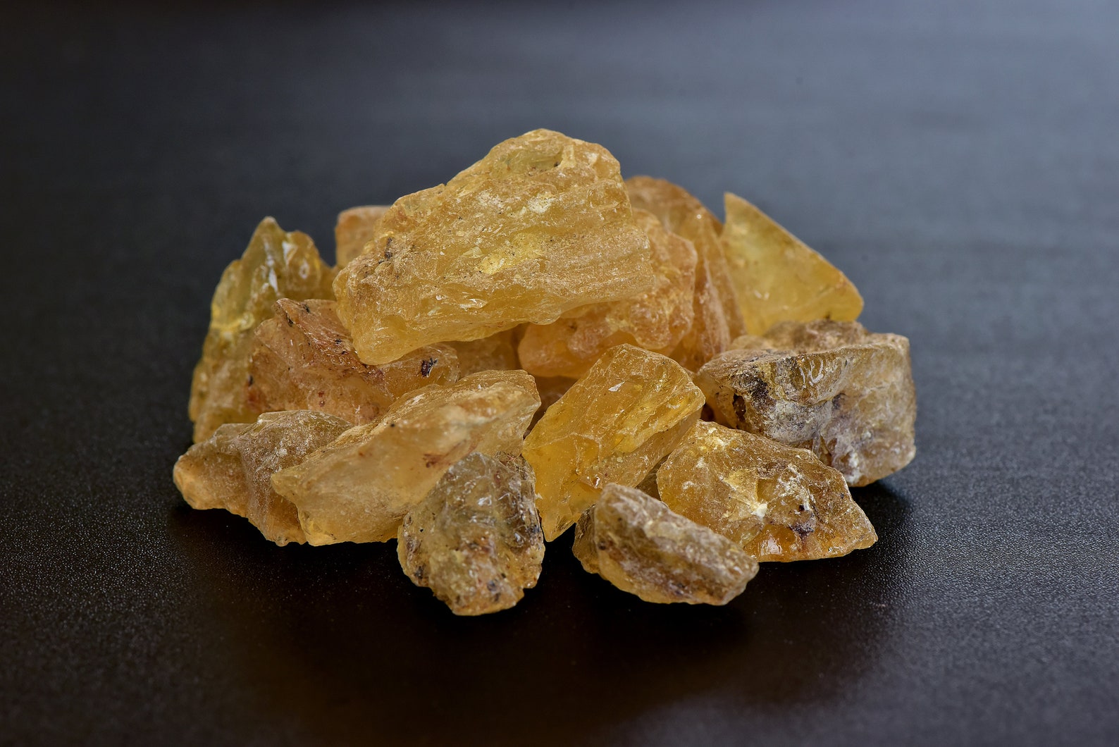 Almaciga or Dayungon agathis Philippinensis - Etsy UK