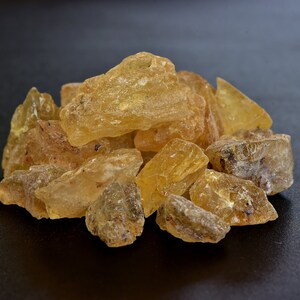 Almaciga or Dayungon agathis Philippinensis - Etsy