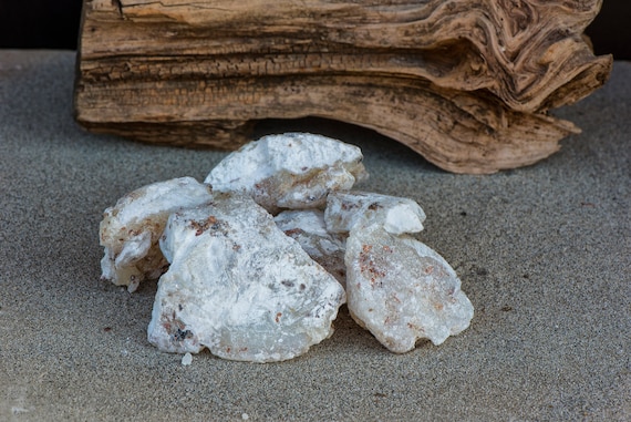 Copal Blanco bursera Bipinnata | Etsy
