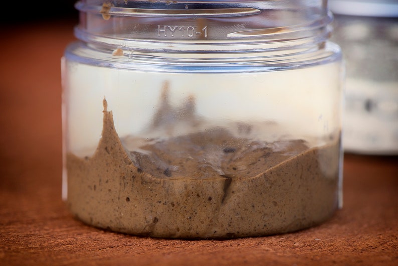 Halmaddi Resin aialnthus Malabarica | Etsy