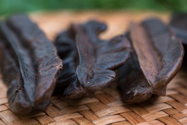 Aridan Fruit Cast No Spell or Scares Ghosts tetrapleura - Etsy