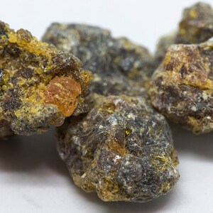 Omumbiri, Myrrh of Namibia commiphora Wildii 50 Gr - Etsy