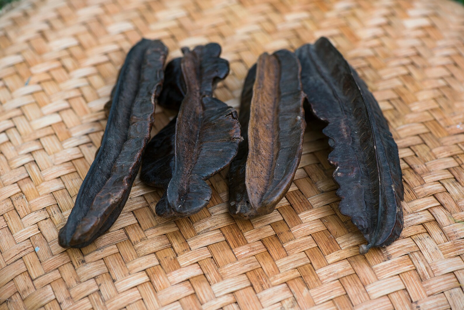 Aridan fruit Cast no spell or Scares ghosts Tetrapleura | Etsy