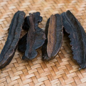 Aridan Fruit, Cast No Spell or Scares Ghosts (tetrapleura Tetraptera ...