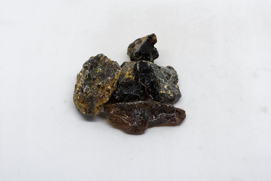 Black Dammar canarium Strictum - Etsy Ireland