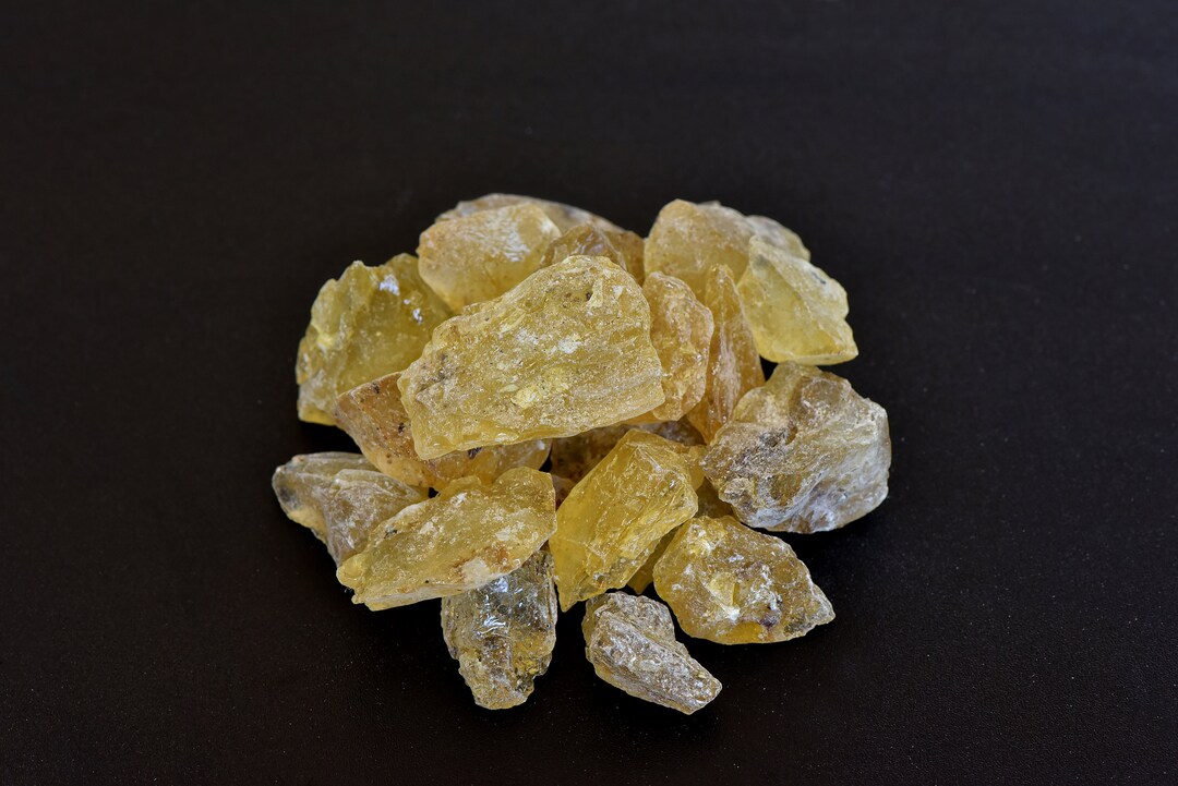 Almaciga or Dayungon agathis Philippinensis - Etsy UK