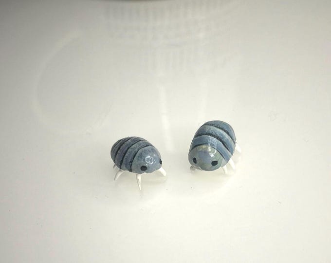 Love Bugs, Choose Your Favorite// Plant Bugs // Entomology // Ceramic ...