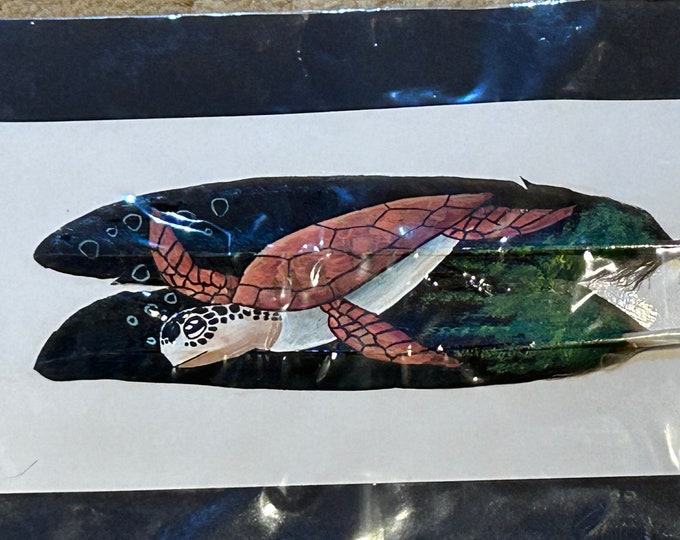 RARE Unique Hand-painted Feather Artwork From Ecuador Galapagos Islands ...