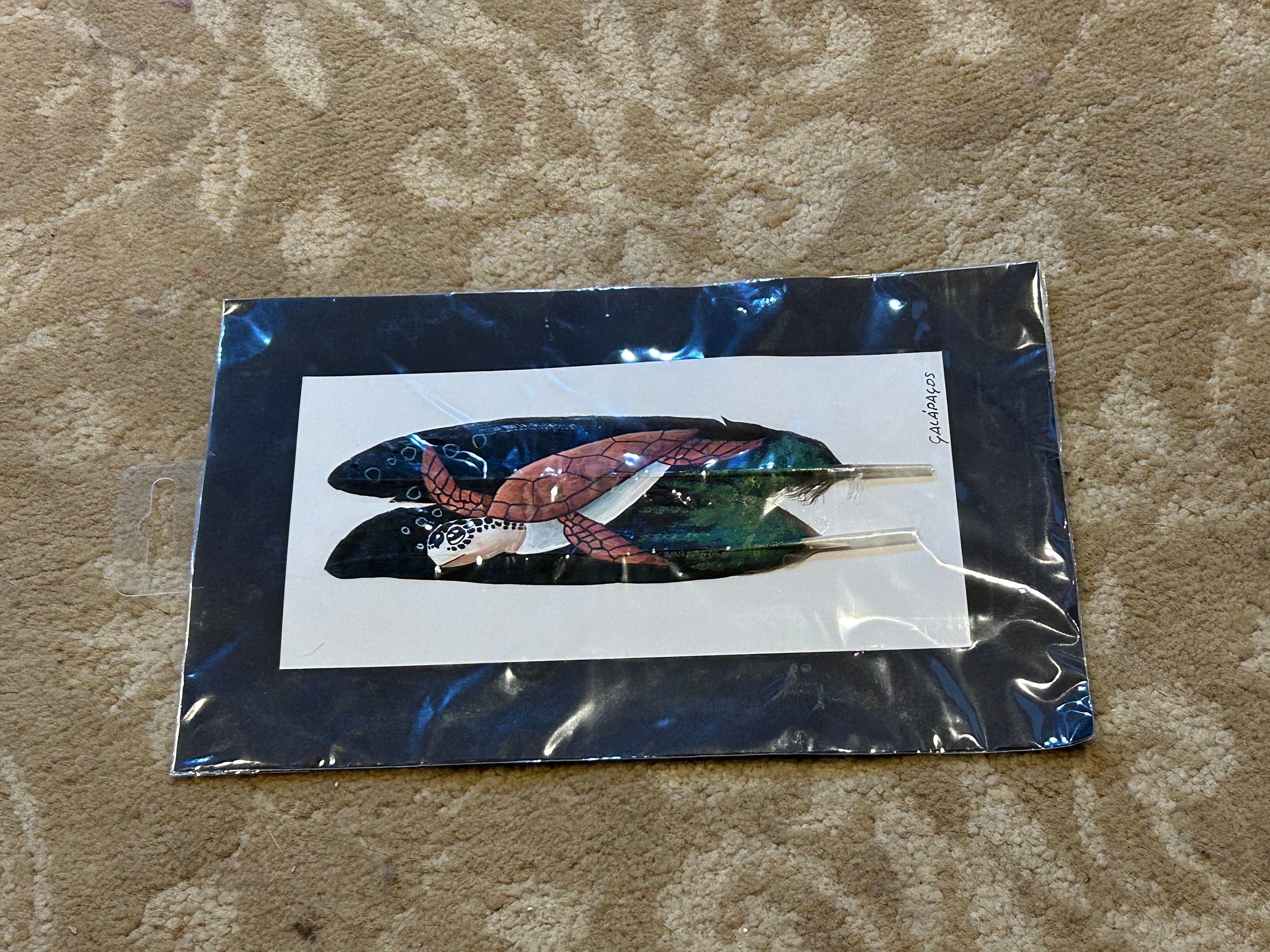 RARE Unique Hand-painted Feather Artwork From Ecuador Galapagos Islands ...