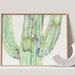 Cactus Print Botanical Print Watercolor Print Cactus Wall Art Cactus ...
