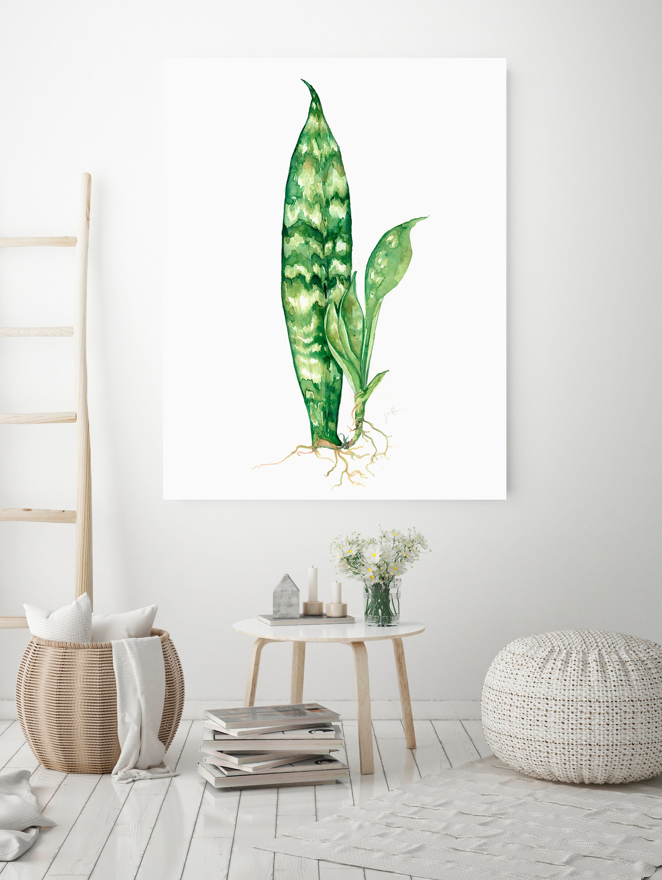 Snake Plant Painting Watercolor Print Watercolor Botanical Wall Prints ...