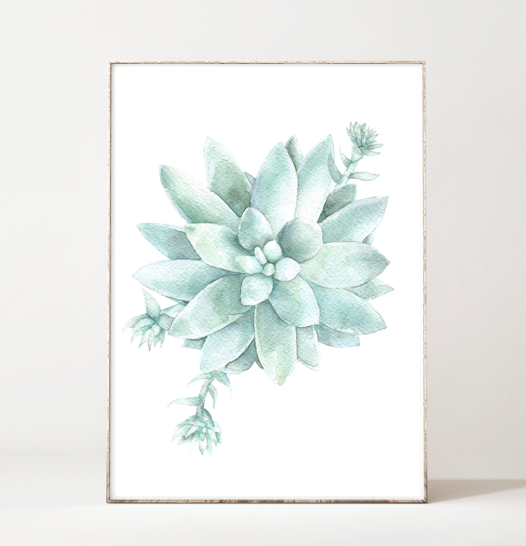 Set of Two Prints Succulent Print Botanical Print Set | Etsy