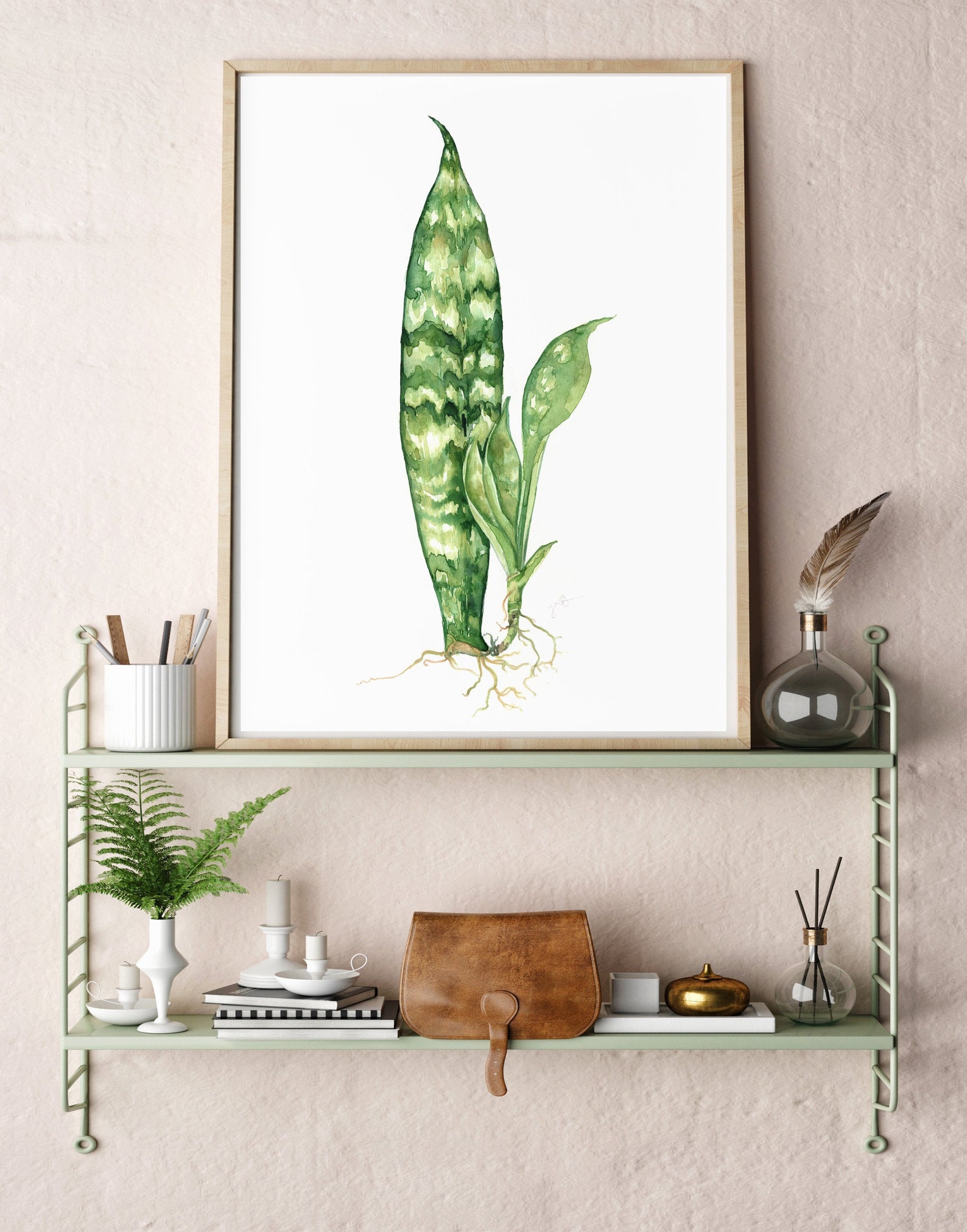 Snake Plant Painting Watercolor Print Watercolor Botanical Wall Prints ...