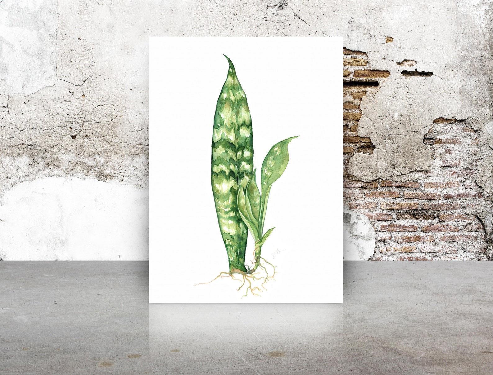 Snake Plant Painting Watercolor Print Watercolor Botanical Wall Prints ...