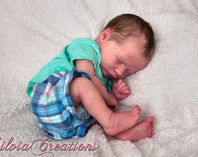 Beautiful Custom * Realborn Sleeping Presley (LE) * by Denise Pratt ...