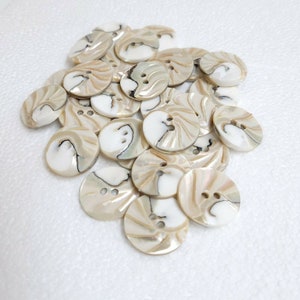 Tigers Eye Nautilus Shell Button 15mm or 18mm 2 Hole Natural Chamber ...