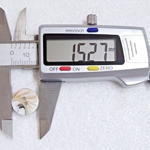 Tigers Eye Nautilus Shell Button 15mm or 18mm 2 Hole Natural Chamber ...