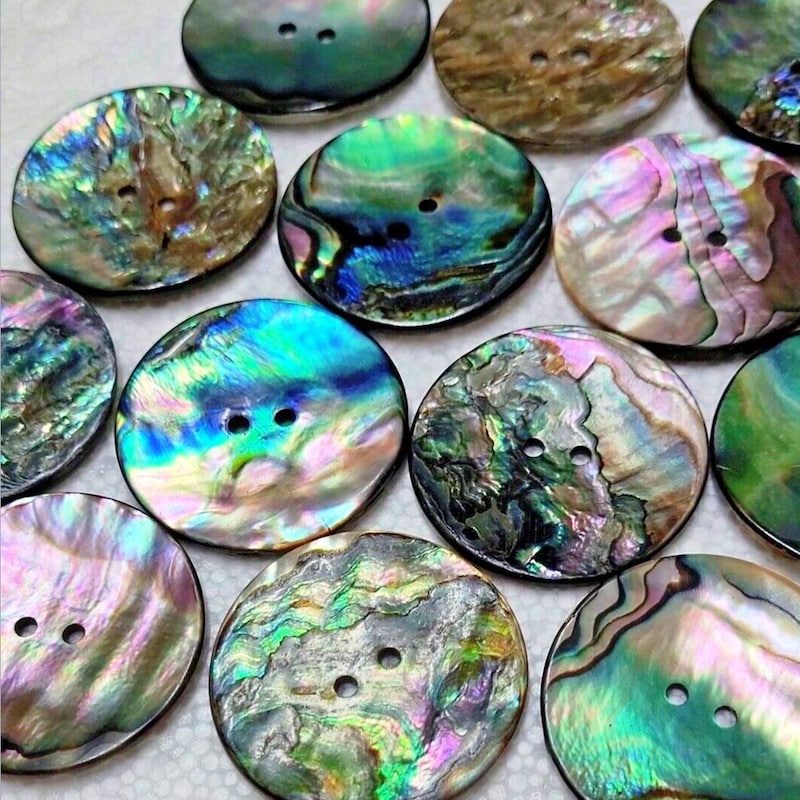Abalone Shells 1 Inch - Etsy UK