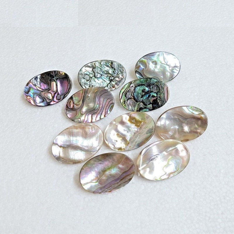 Shell Embellished - Etsy